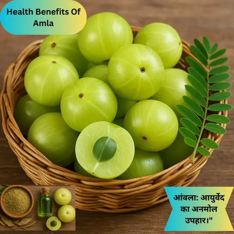 Amla Benefits » Devkalp Ayurveda